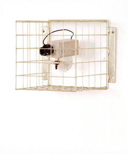 Protection & Security Cages from AMP Wire